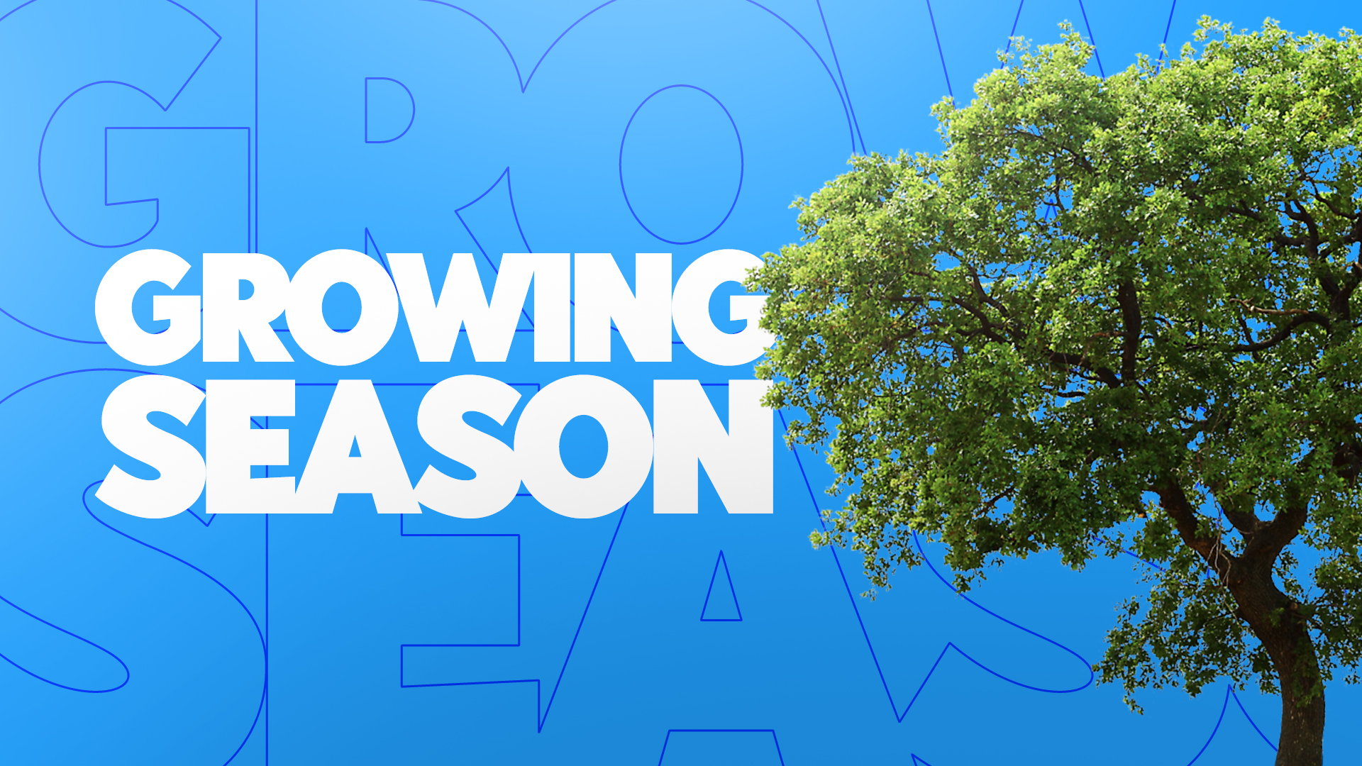 Harvest Students – Harvest Bible Chapel